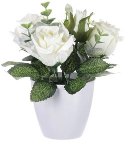 Růžičky v plastovém bílém obalu SG7335 Krémová