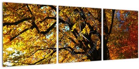 Obraz podzimního stromu (s hodinami) (90x30 cm)