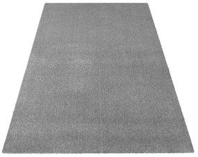 Šedý jednobarevný koberec do obýváku Šířka: 200 cm | Délka: 300 cm