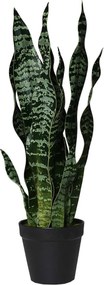 Umělá rostlina SANSI, výška 65 cm, plast, zelená