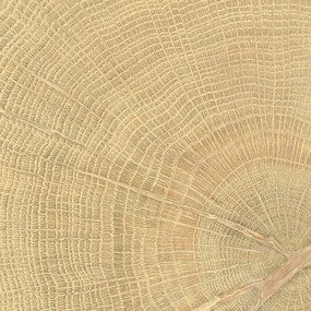 Dlažba Emil W-Circles oak 10x10 cm mat 00ENJD68