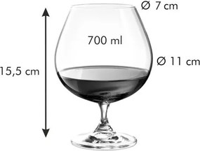 TESCOMA Sklenice na koňak CHARLIE 700 ml