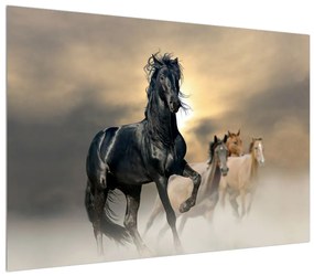 Obraz koně (100x70 cm)