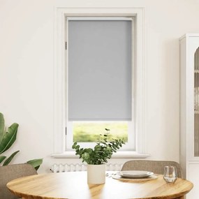 Zatemňovací roleta 64,4 x 120 cm, šířka látky 60 cm, šedá 240746