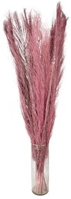 Dekorace růžová sušená květina - 100 cm (15ks)