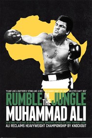 Plakát, Obraz - Muhammad Ali - Rumble in the Jungle, (61 x 91.5 cm)