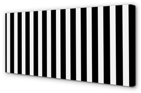 Obrazy na plátně Geometrické zebra pruhy 100x50 cm