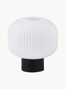 Malá noční stolní lampa z opálového skla Charles