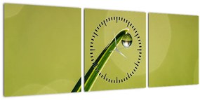 Obraz kapky vody na trávě (s hodinami) (90x30 cm)