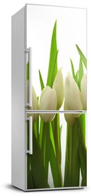 Wallmuralia Fototapeta nálepka na ledničku Tulipány 60x180 cm