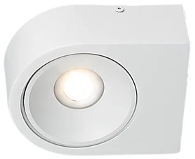 Nástěnné svítidlo Luce, 1x bílé kovové stínítko, w