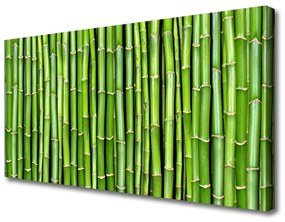 Obraz na plátně Bambus Květ Rostlina 100x50 cm