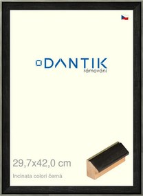 DANTIK rámeček 29,7x42 | INCLINATA colori černá (Plexi Čiré)