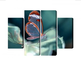 Vícedílný obraz Skleněný Motýl Zblízka Nedostatek Nedostatek Přírodní plátno 160x120