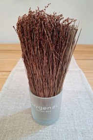 Přírodní aromaterapie - větvičky s vůní pomeranče
