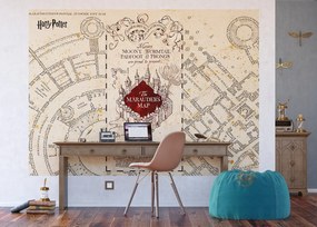 Dětská vliesová fototapeta na zed' Harry Potter a Pobertův Plánek | 252 x 182 cm | DFTDXL1977