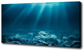 Wallmuralia Foto obraz canvas Podvodní svět 100x50