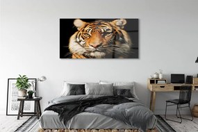 akrylový obraz Tygr 140x70 cm