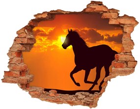 Wallmuralia Díra 3D fototapeta na stěnu Kůň západ slunce 90x70 cm