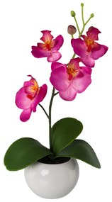 Gasper Umělá květina Orchidej v keramickém květináči, tmavě růžová, 21 cm