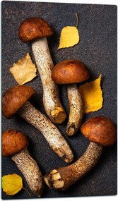 Deska Na Krájení Skleněná Deska 30x52 Houby 7v1