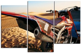 Obraz na plátně - Moto freestyle 1124C (120x80 cm)