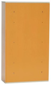 Oranžová nástěnná knihovna z jasanového dřeva 60x109 cm Apollo – Hübsch