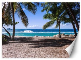 Fototapeta, Písečná pláž mezi palmami - 150x105 cm