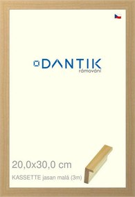 DANTIK rámeček 20x30 | KASSETTE jasan malá (Sklo Čiré)
