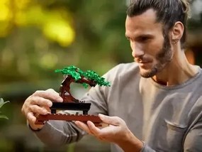 LEGO® Botanicals 10281 Bonsaj / Počet dílků: 878 / od 18 let