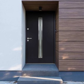 Vchodové dveře antracitové 110 x 207,5 cm hliník,  3190528