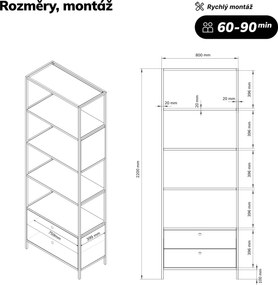 Regál se zásuvkami do kanceláře, na šanony a dokumenty, otevřené police, kovový, antracitový/ořech, 800x2200x400 mm: ARIEL Eco Design