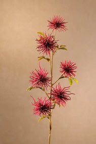 Paramit DRY MINI XANTHIUM Aranžovací květina červená 53 cm