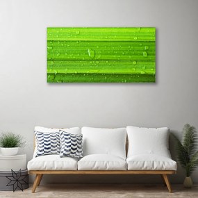 Obraz na plátně Tráva Rostlina Příroda 125x50 cm