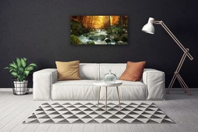 Obraz na plátně Vodopád Příroda Les Podzim 100x50 cm