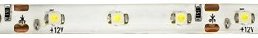 ECOLIGHT LED pásek - SMD 2835 - 5m - 60LED/m - 4,8W/m - IP65 - studená bílá