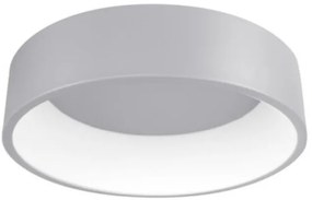 Stropní LED svítidlo Palnas Kaji Barva: Stříbrná, Velikost: 60cm, Varianta: 3000K Dali