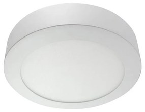 Baterie Centrum | LED Stropní svítidlo LED/18W/230V 4200K | BC0048