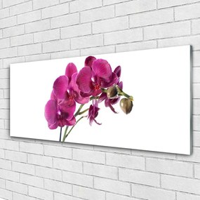 Plexisklo-obraz Orchidej Květiny Příroda 125x50 cm