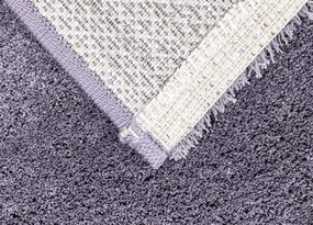 Koberce Breno Kusový koberec DOLCE VITA 01/LLL, Fialová, 67 x 110 cm