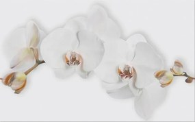 Cersanit Dekor Marisol White Flower 25x40 - 148249