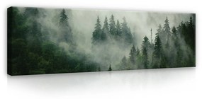 Postershop Obraz na plátně: Mlha nad lesem (1) - 145x45 cm