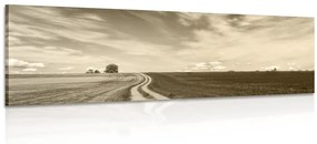 Obraz čarokrásná krajina v sépiové provedení Varianta: 150x50