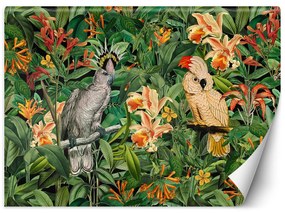 Gario Fototapeta Velké papoušky v zelených tropech - Andrea Haase Materiál: Vliesová, Rozměry: 200 x 140 cm