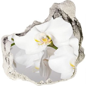 Wallmuralia Samolepící nálepka na zeď Orchidej 75x75 cm