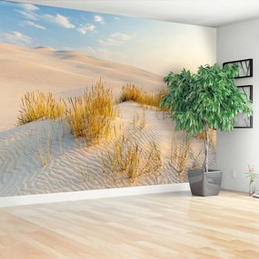 Fototapeta Bunesk Dunes 104x70