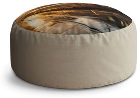 Sablio Taburet Circle Vlak na nádraží při východu slunce: 38x48 cm