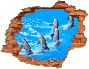Wallmuralia Díra 3D fototapeta na stěnu nálepka Delfíni 90x70 cm