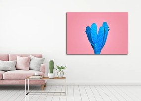 Obraz modrý kaktus Velikost (šířka x výška): 90x60 cm