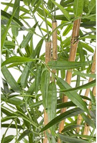 Umělý bambus (výška 155 cm) Bamboo – Bizzotto